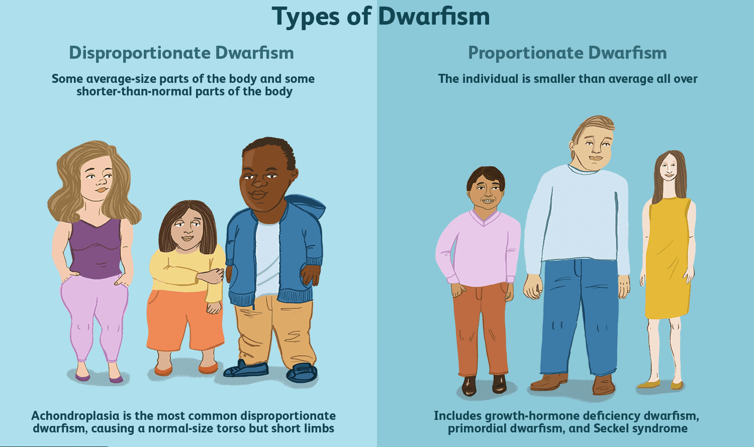 Dwarfism (Panhypopituitarism) - Nurses Revision