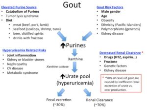 Gout - Nurses Revision