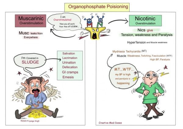 Organophosphates poisoning - Nurses Revision