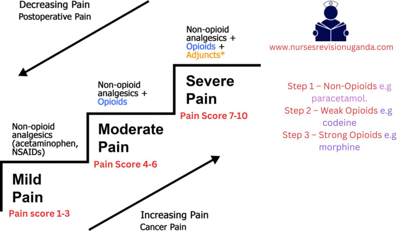 Palliative Care - Nurses Revision