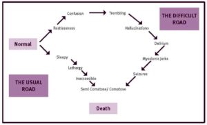 DEATH AND DYING - Nurses Revision