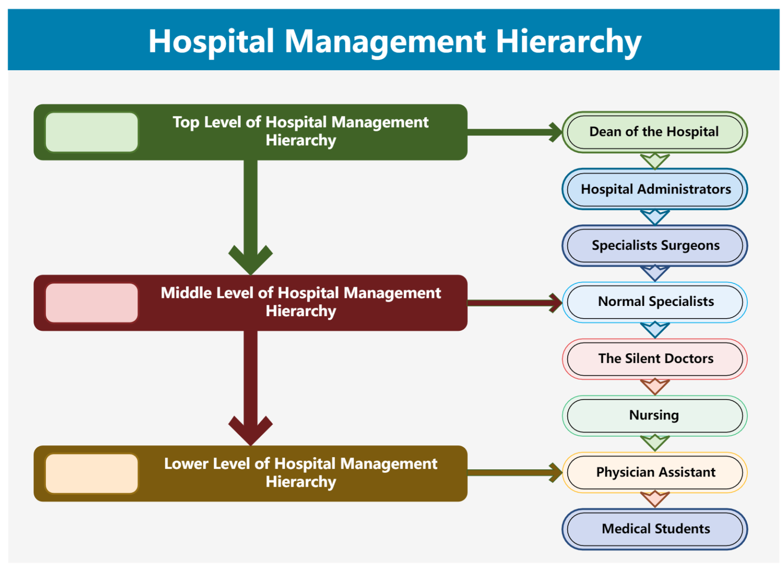 Levels of Hospital Management - Nurses Revision