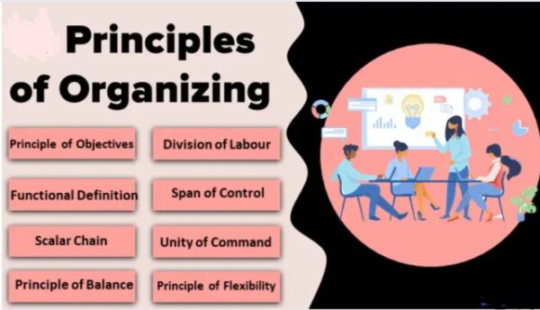 Organizing as a function in management - Nurses Revision