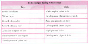 Growth and Development in Adolescents - Nurses Revision