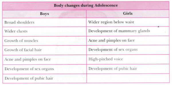 Growth and Development in Adolescents - Nurses Revision
