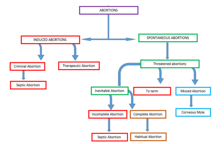 ABORTIONS - Nurses Revision