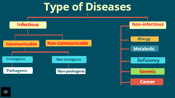 Diseases and Conditions Category - Nurses Revision