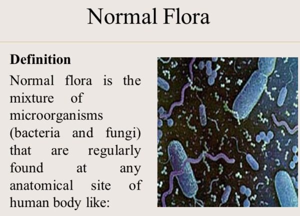 Normal flora - Nurses Revision